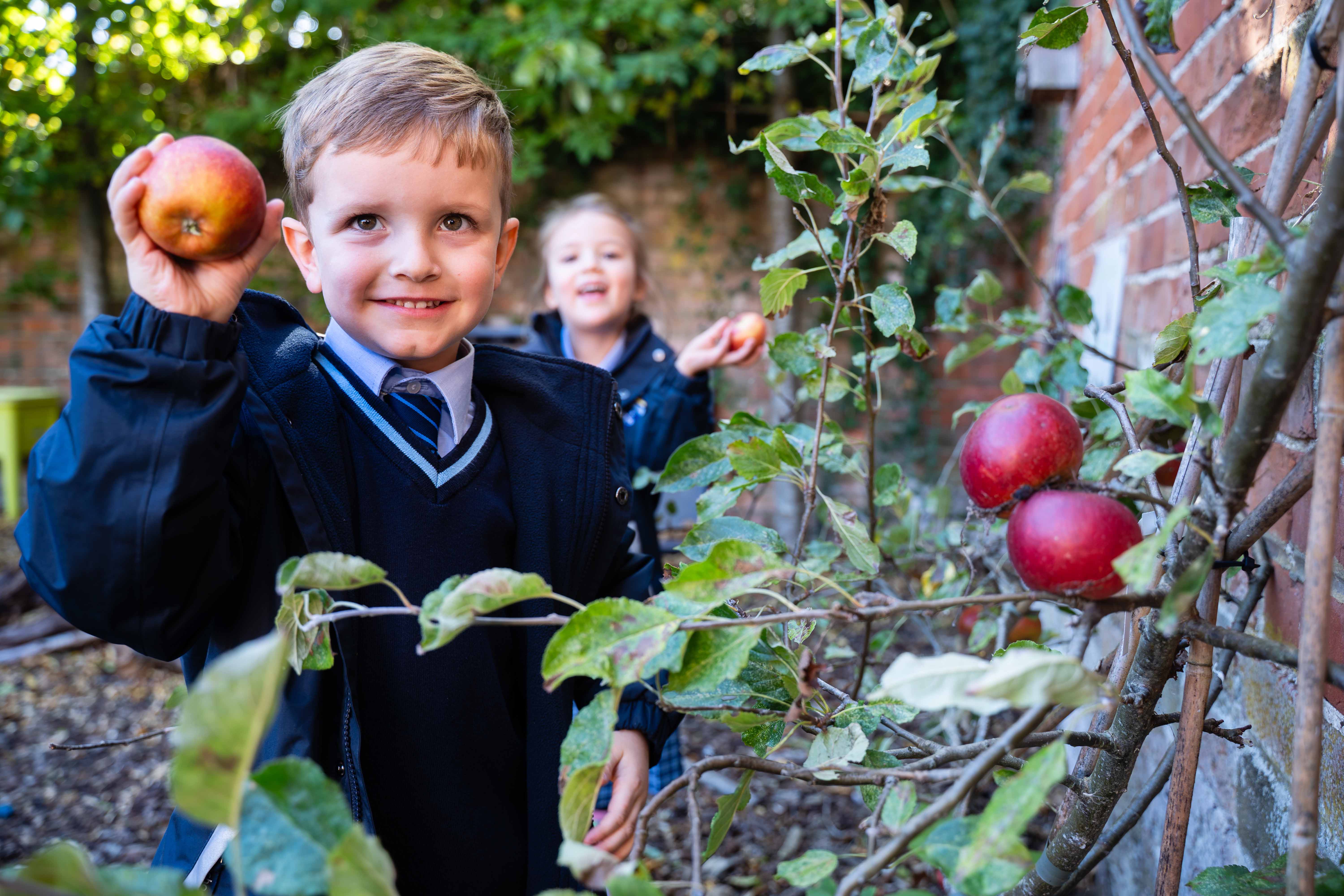 Whole School Open Week | Calendar | Cranford School